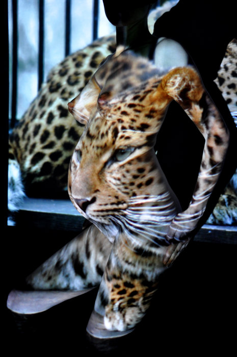 Pregnancy 5 | Akty X 2011 | Reflex.cz