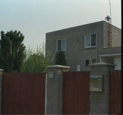 Obří pes potrhal dítě | Ahaonline.cz